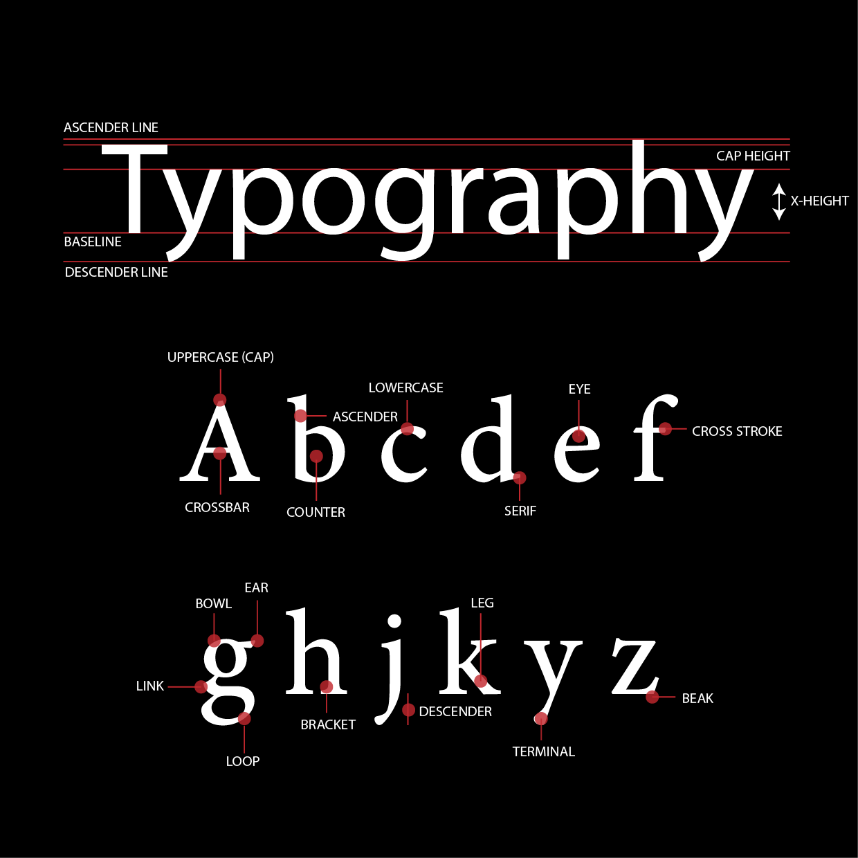 LT – The Anatomy of Type!